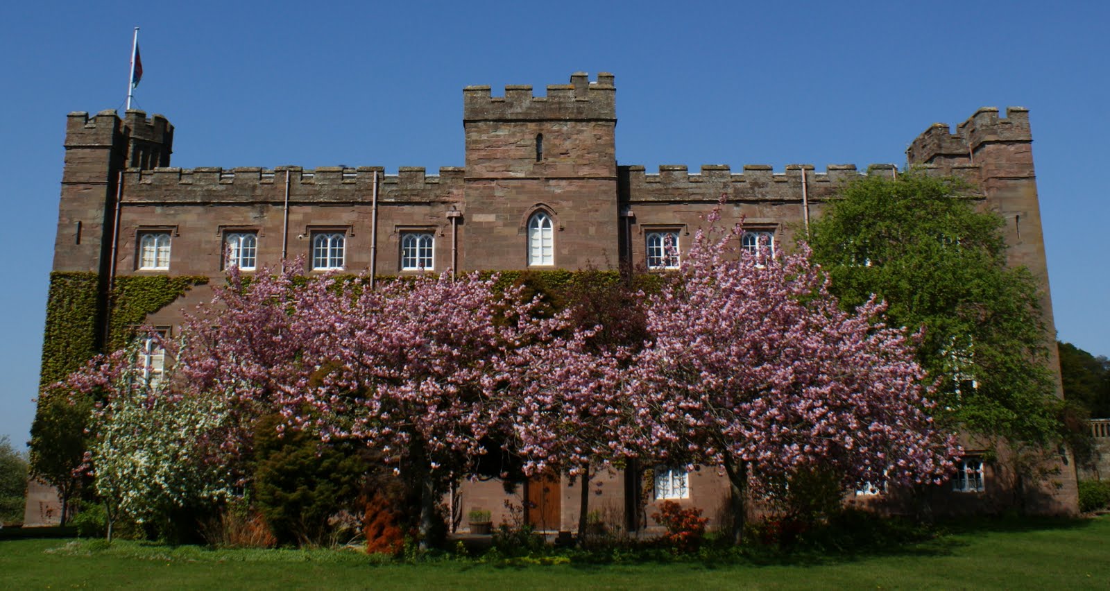 Tour Scotland: Tour Scotland Photographs Scone Palace 27th April