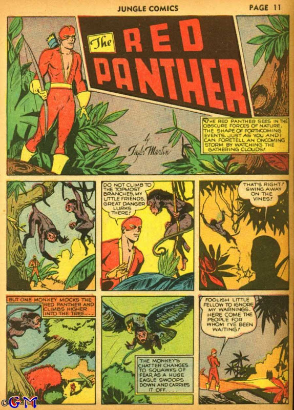 The Comic Book Catacombs: The Red Panther in "Fortunate Storm" (Fiction ...