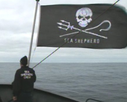 The Voice of Vexillology, Flags & Heraldry: Sea Shepard Flag - Whale ...