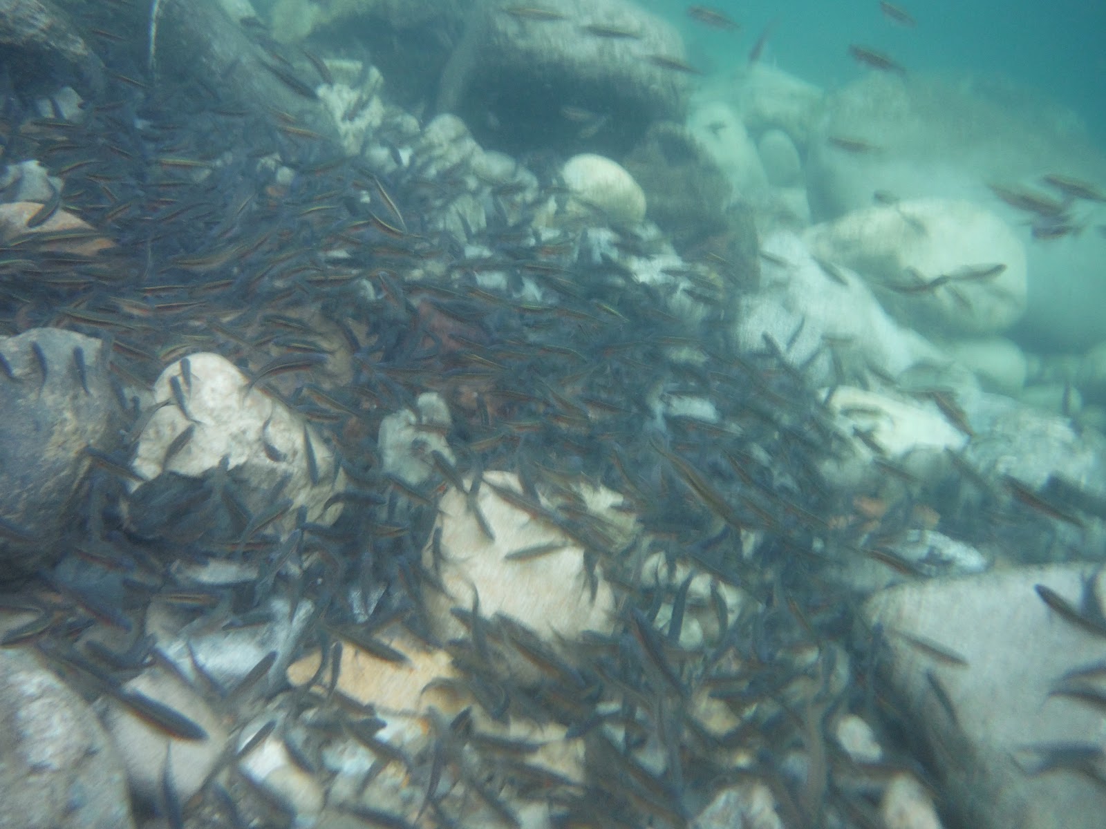 Discover Outdoors: Paddle Ross Lake - the North Cascades are Calling!