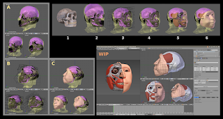 ATOR: Homo erectus pekinensis - Forensic facial reconstruction using a ...