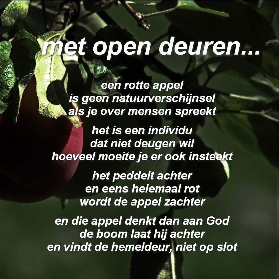 Gedichten in beeld...: met open deuren...