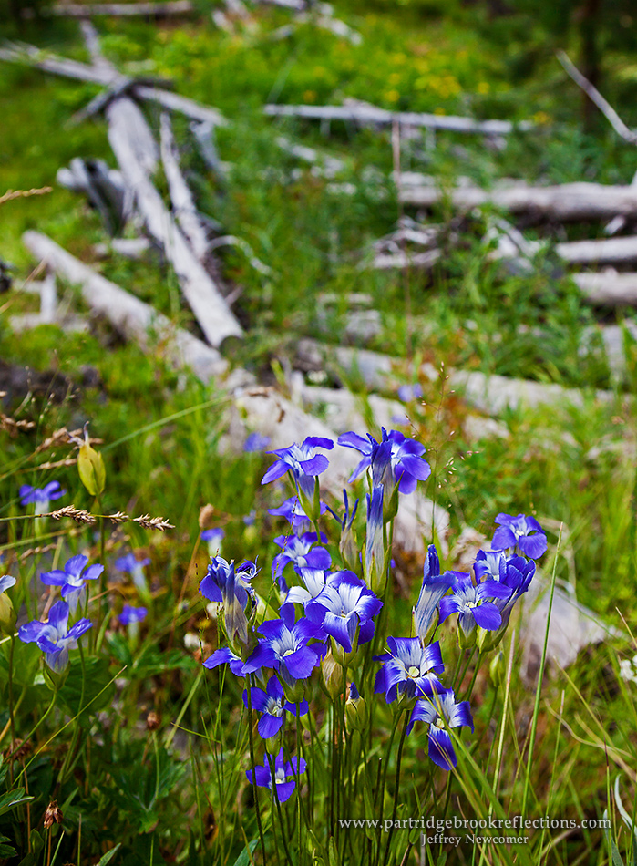 Getting it Right in the Digital Camera : Taking a Fresh Look at Your ...