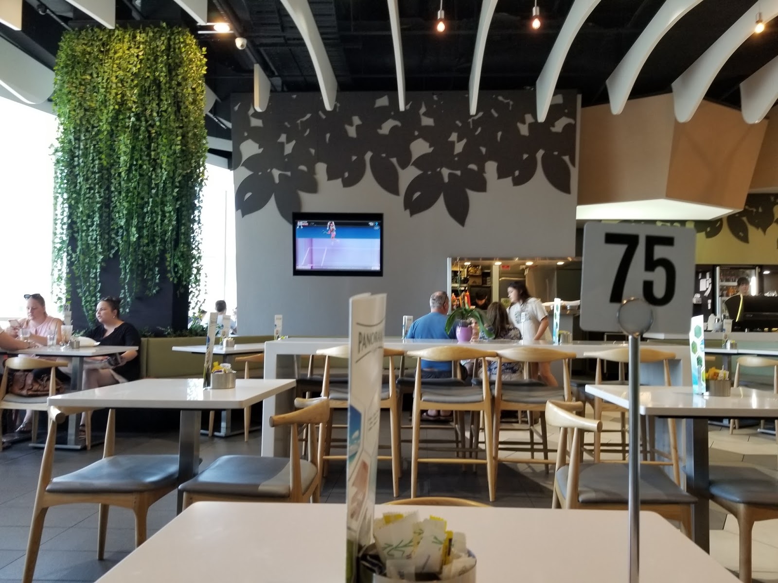 Espresso & Matcha: Panorama - Indooroopilly