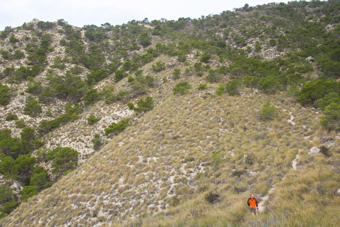 CERRO DEL AGUDO DESDE LOS VIVES