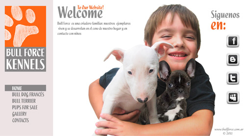 Desingdog: Portfolio