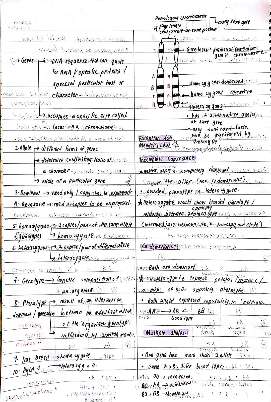 Biology Notes Semester 2 (MINE) for MUFY