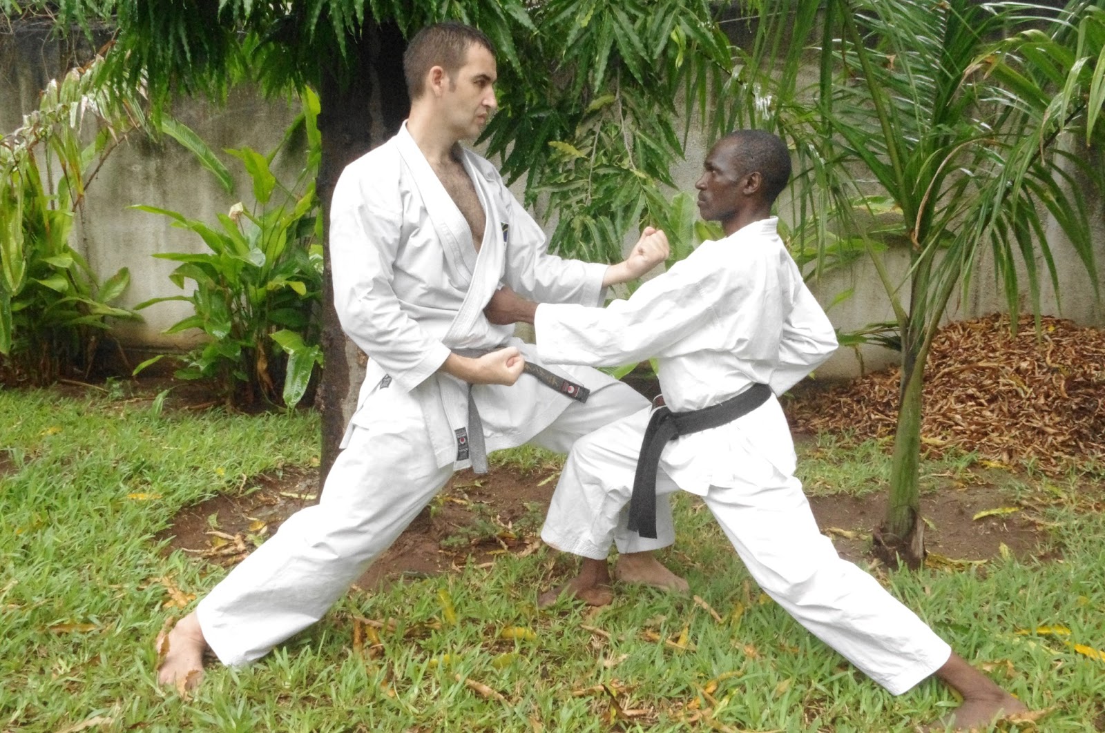 Karate Terminology - THE BLACK SAMURAI