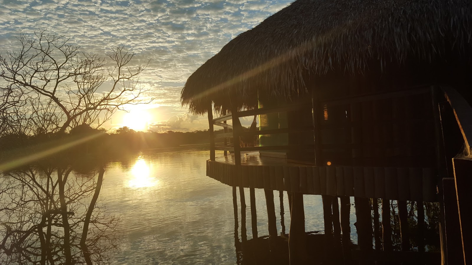 Juma Amazon Lodge: a primeira vez na Floresta Amazônica a gente nunca ...