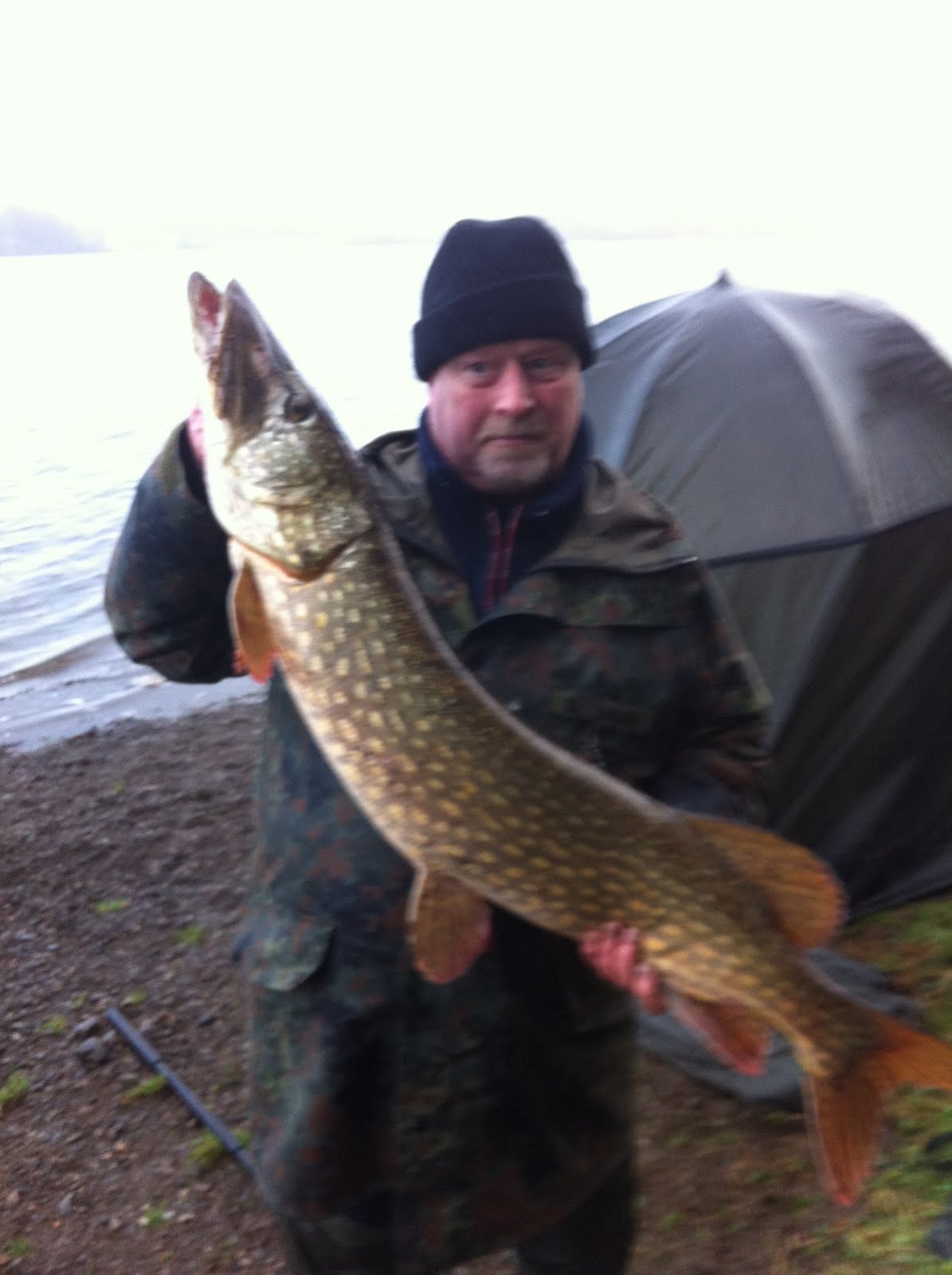 Fish of the Month December Entry - Loch Ken Pike!