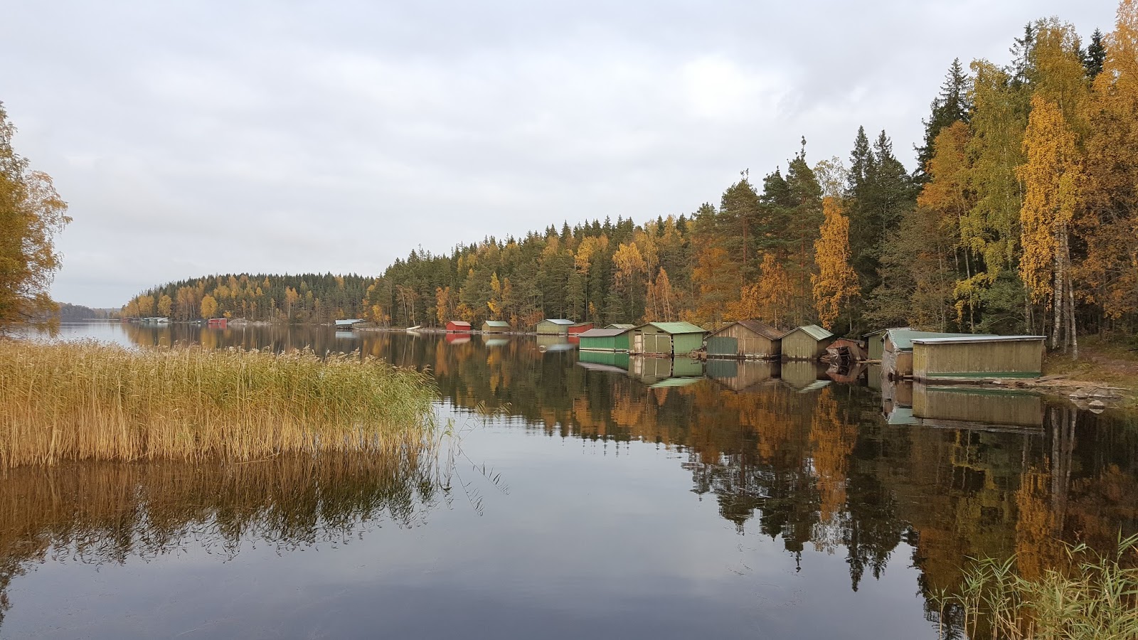 Mimi Chill's: Pennut 3 viikkoa, uusia suunnitelmia ja kuulumisia