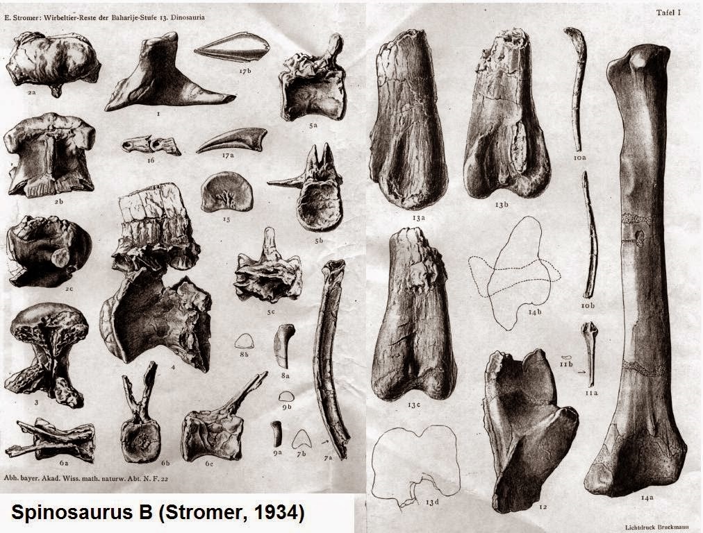 Mark P. Witton's Blog: The Spinosaurus saga continues