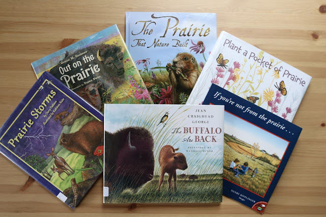 Prairie Week 1 {Prairie Primer} — Delightful Learning