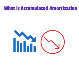 What is Accumulated Amortization