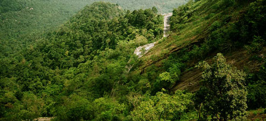 Tourist Places in Pachmarhi