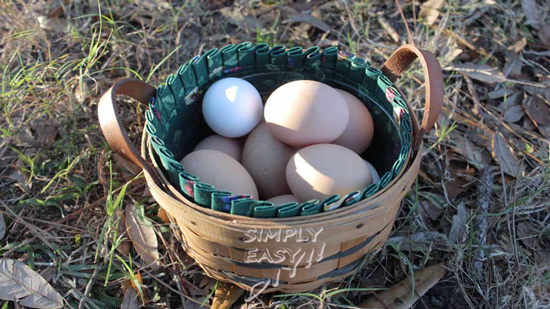 Simply Easy DIY: DIY Egg Storage - Fresh Fom the Farm