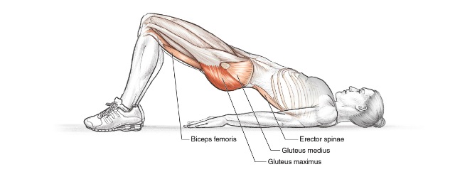 Contours Personal Training: Five core exercises to go!