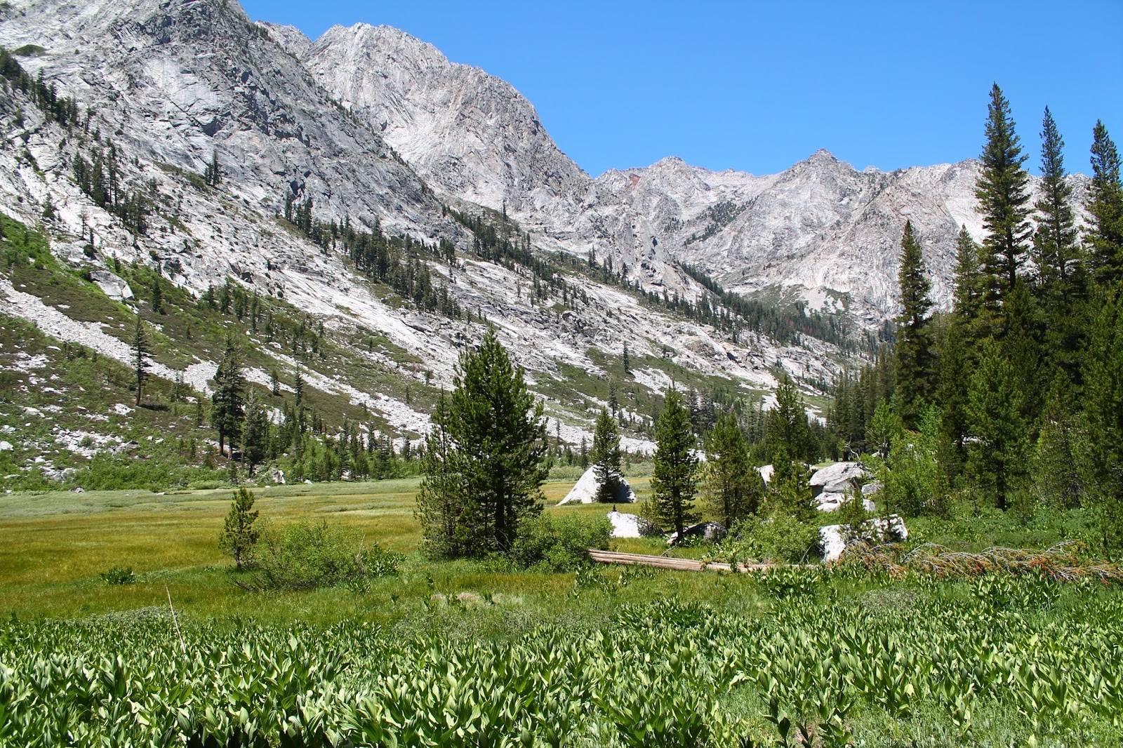 IN THESE WOODS: DAY 63: MUIR PASS