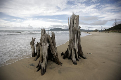 The Photographic World of Drew Gardner: Another brilliant photographer ...