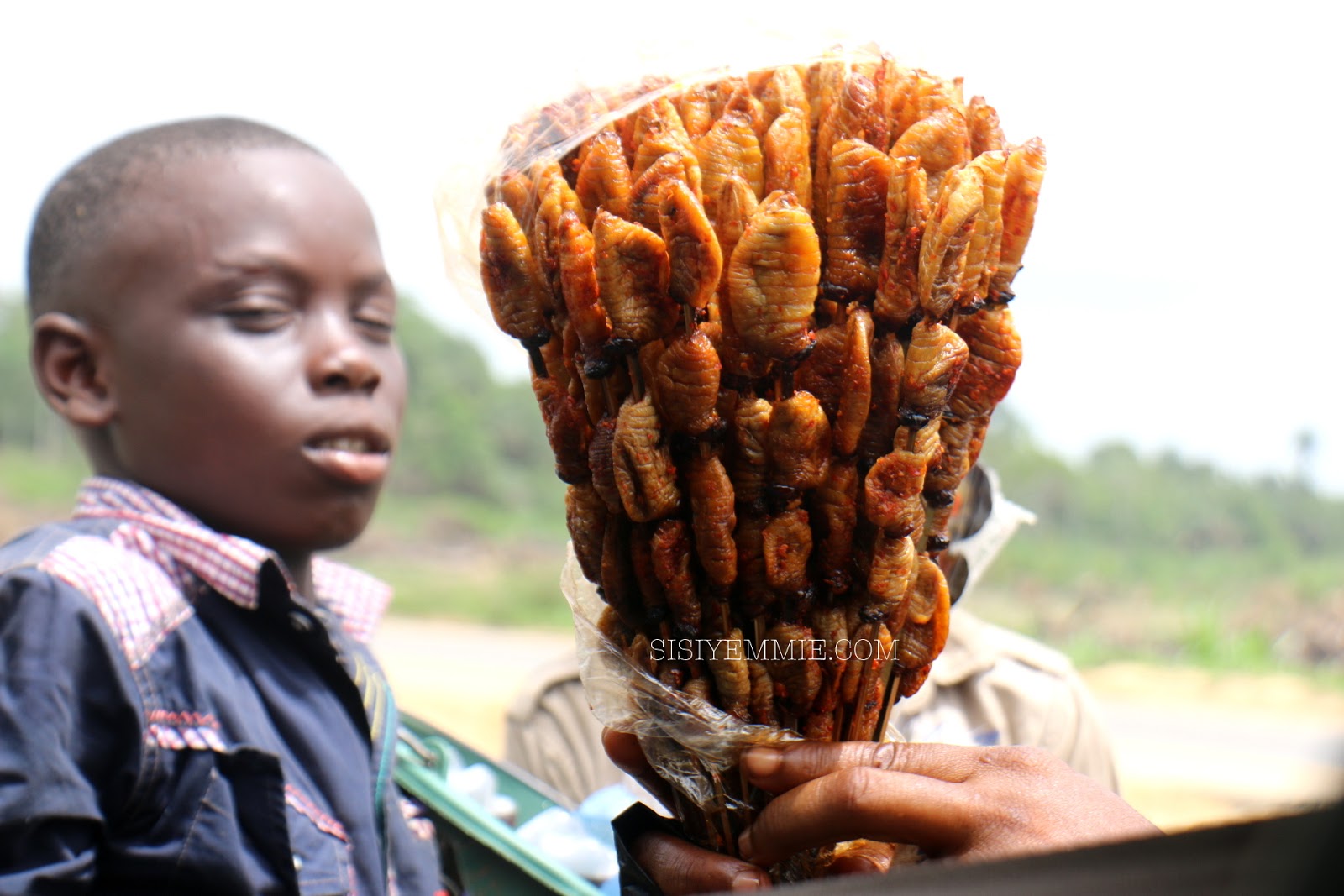 WHAT NIGERIAN "EDIBLE WORMS" ACTUALLY TASTE LIKE... - SISIYEMMIE ...