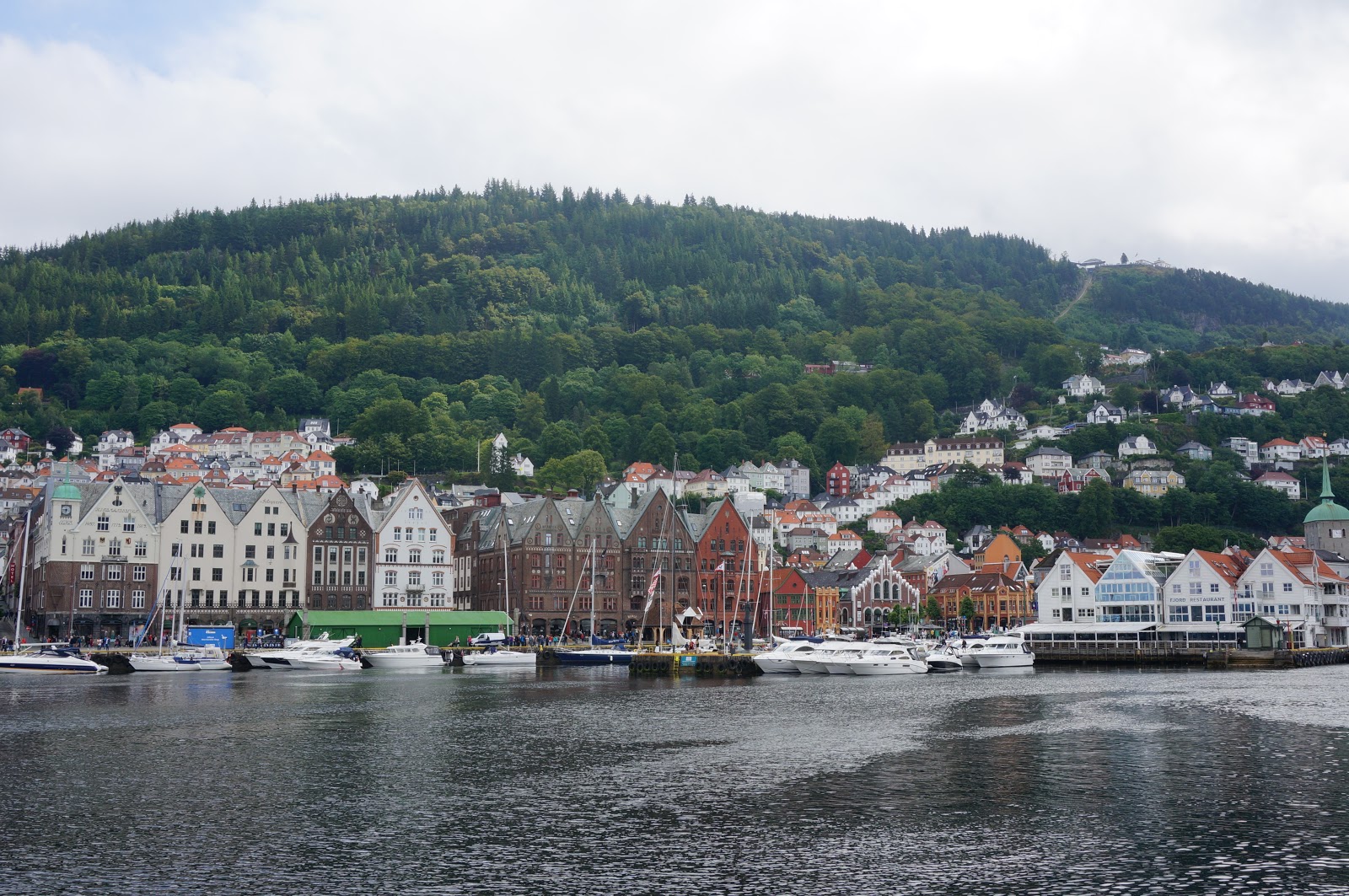 Fiyortların Başkenti Bergen | Hayallerim ve Ben