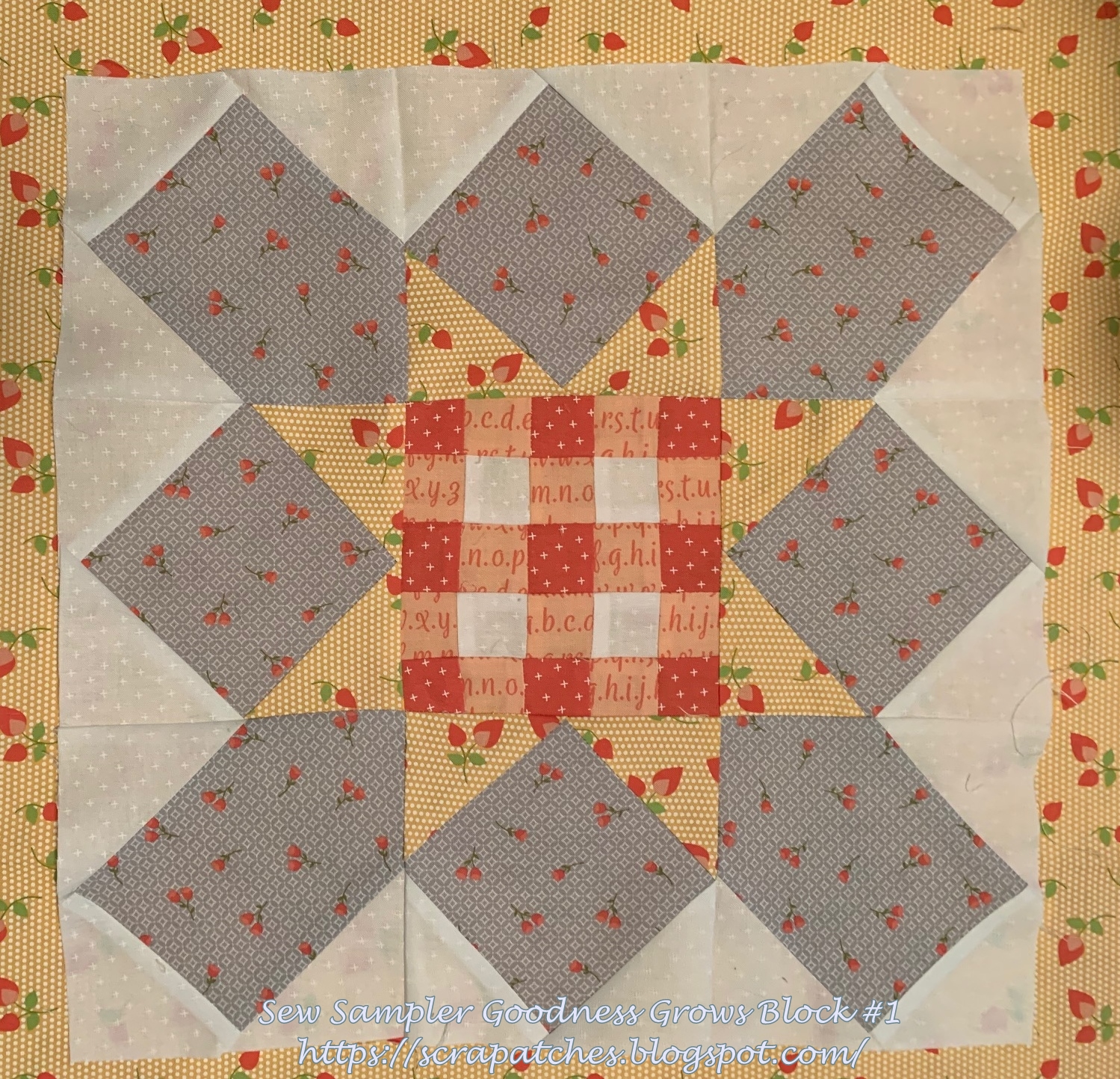 Life in the Scrapatch: Goodness Grows ~ Block #1 ~ Sew Sampler