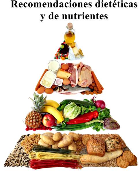 Recomendaciones dietéticas y de nutrientes diarios para optimizar los ...