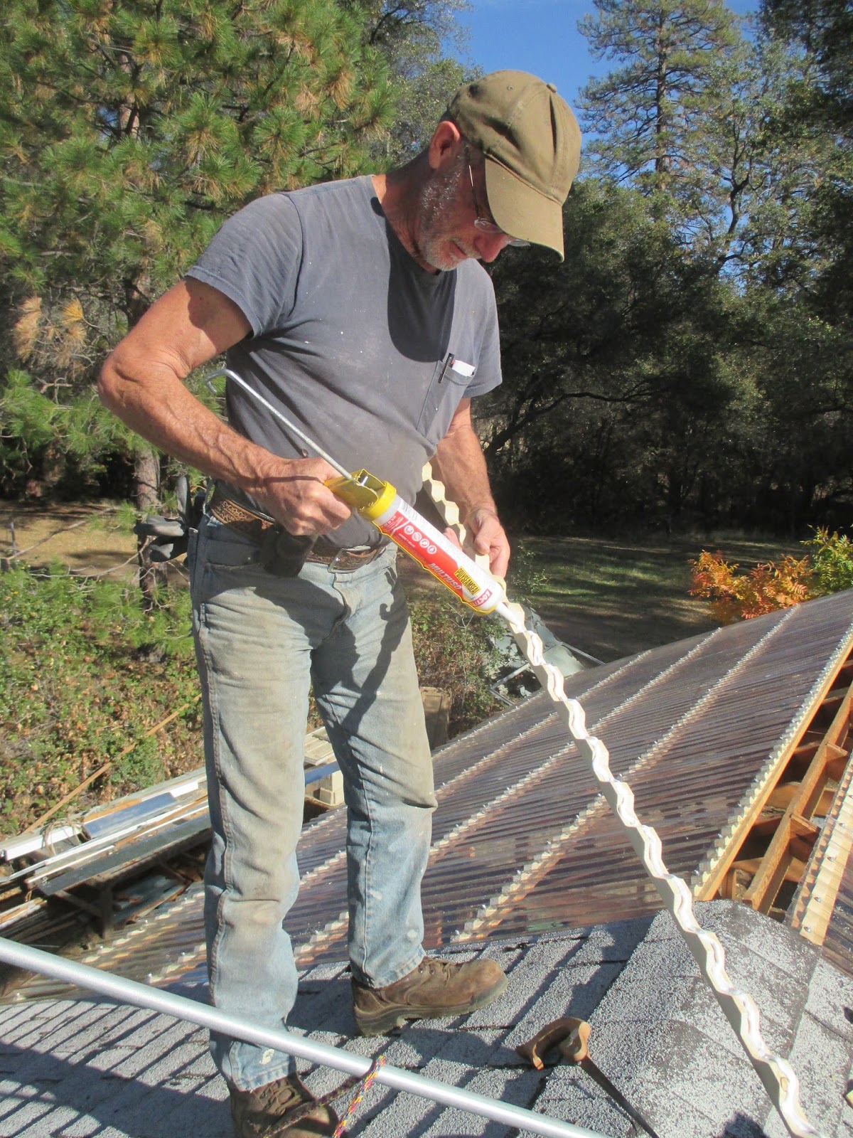 triangle: greenhouse (roof panels---south side, gable panels, and ridge ...
