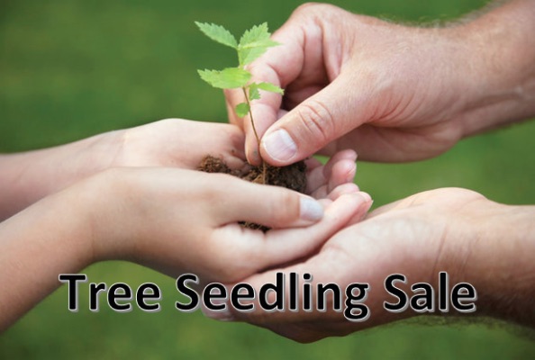 PA Environment Digest Blog: Berks County Conservation District Tree ...