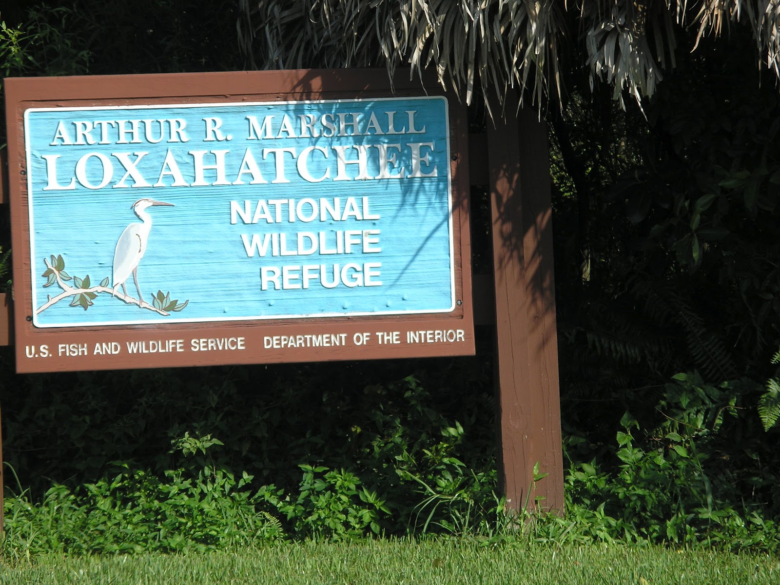Travel with the Slivas: Arthur R Marshall Loxahatchee National Wildlife ...