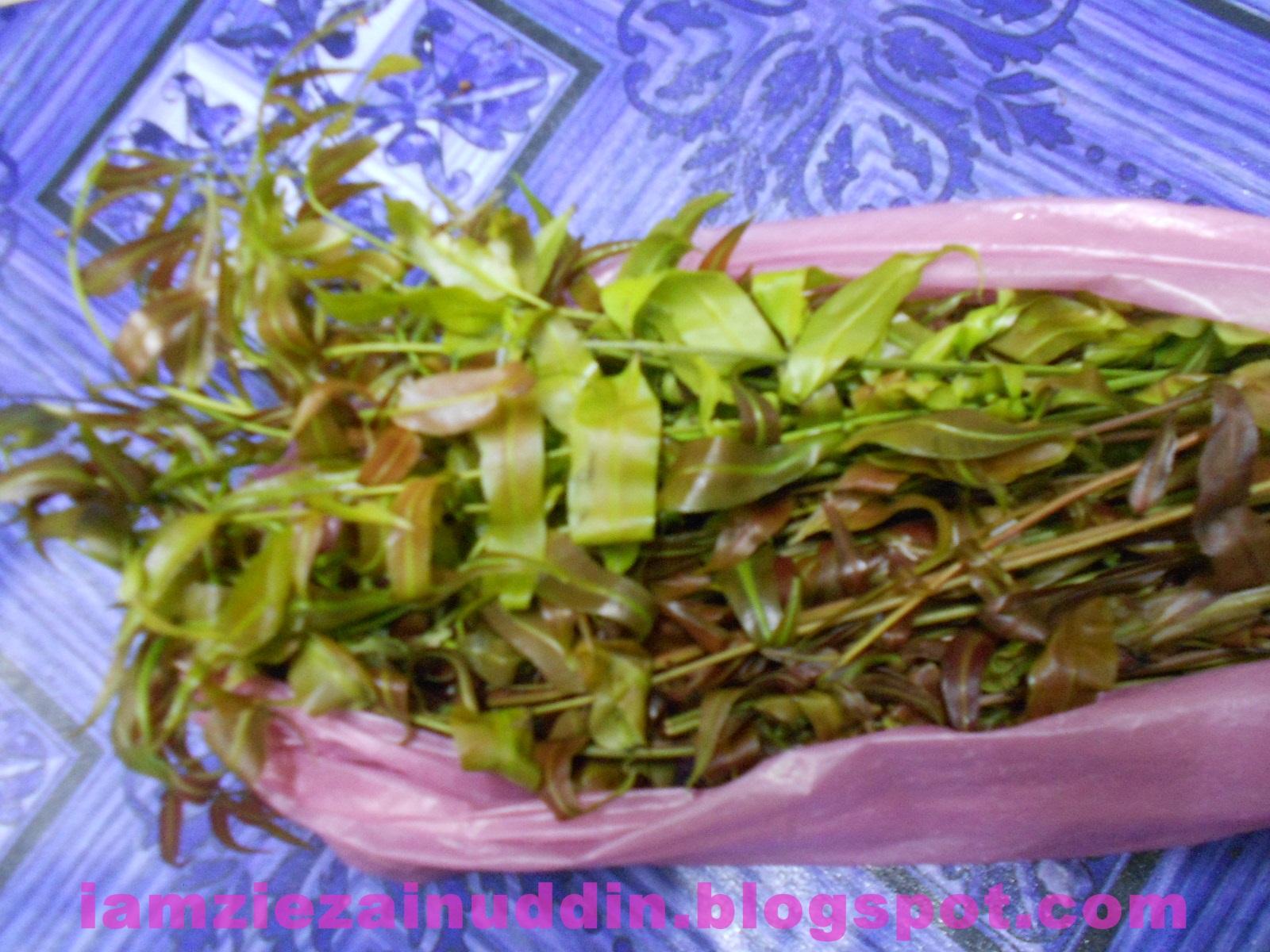 Sora Fazilah: Lemiding-Sabah Traditional Vegetables