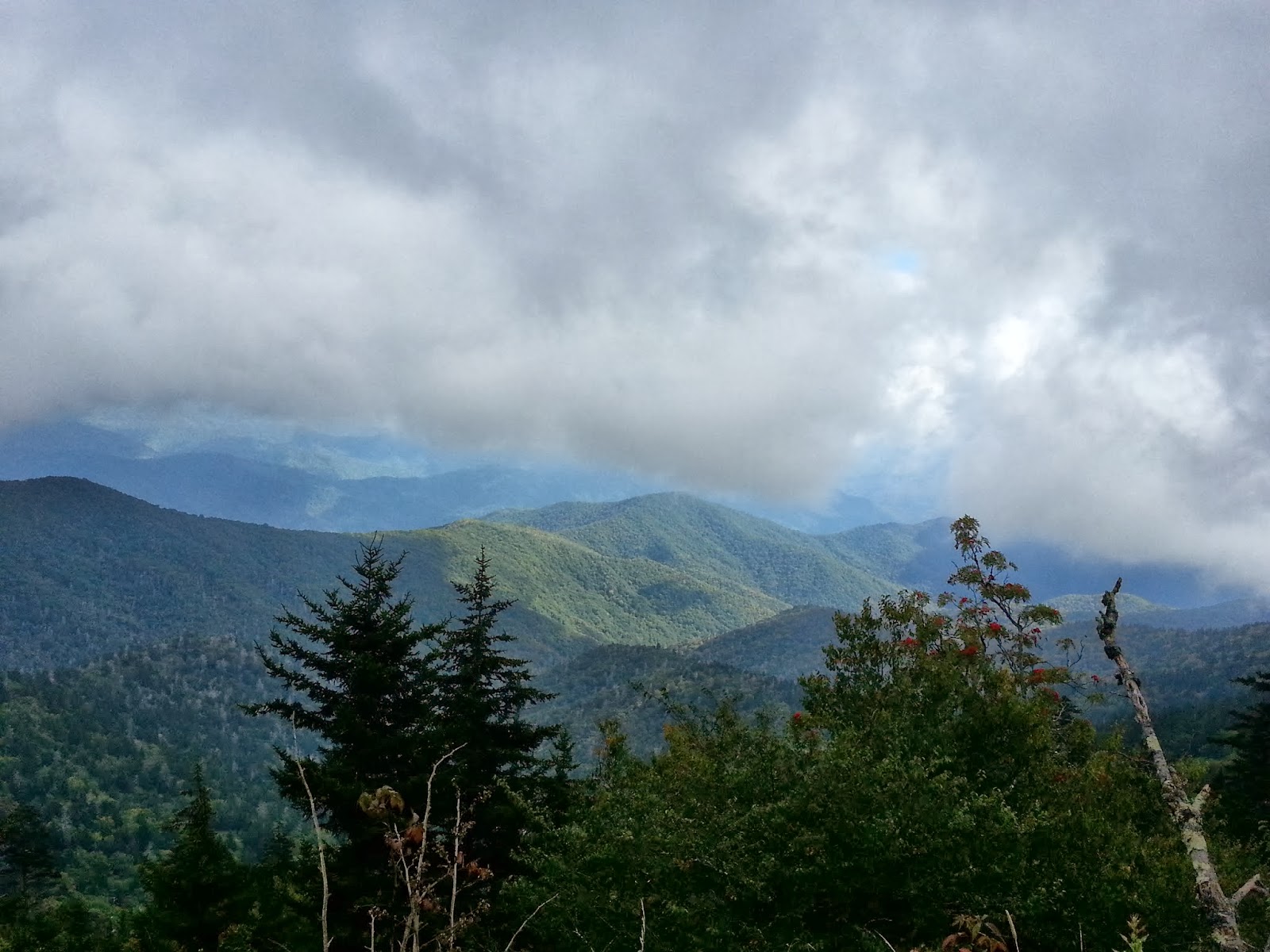 Rockhounding Around: Great Smokey Mountains National Park - Clingman Dome