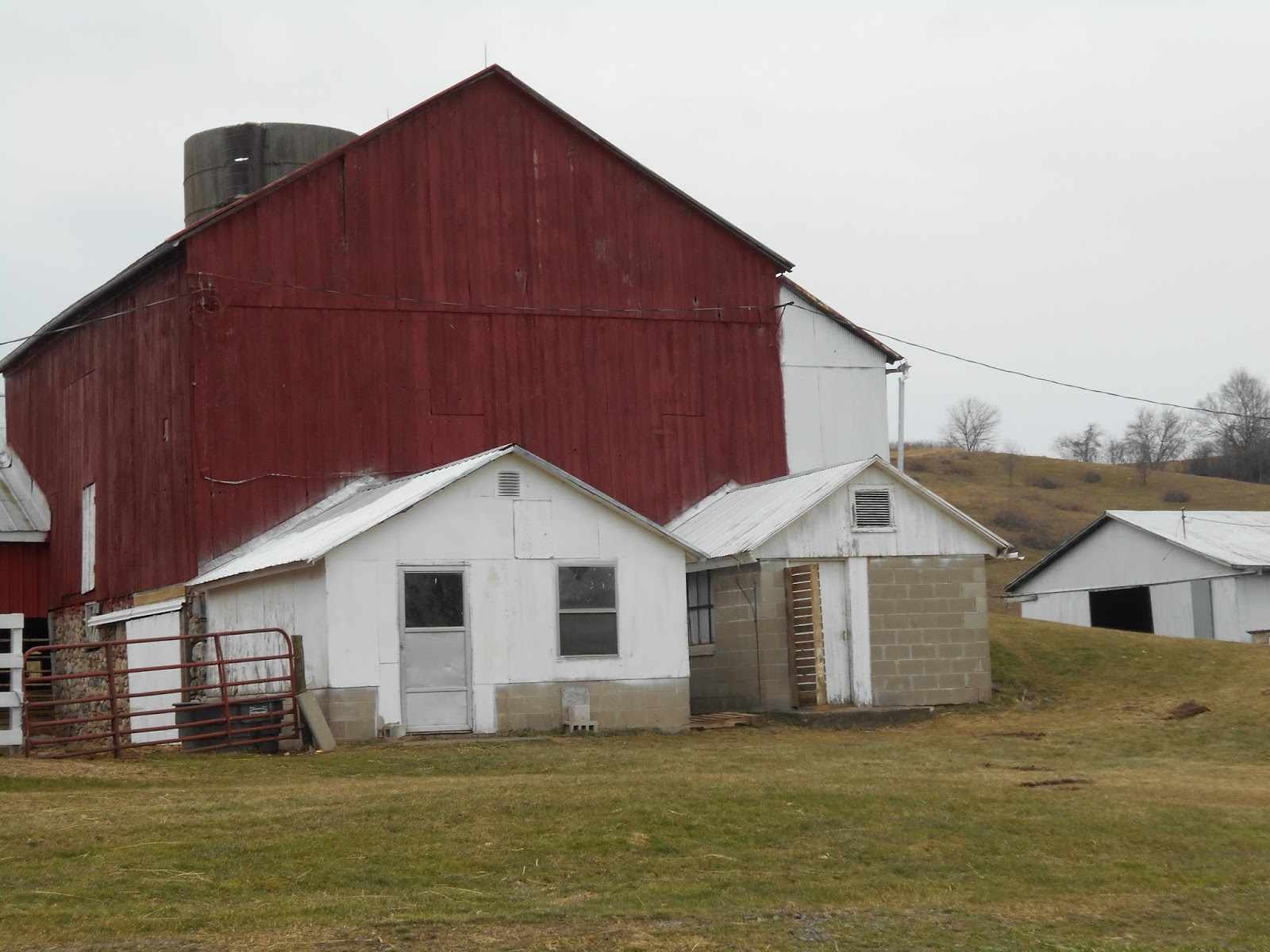 New York State of Mind: OLD ORDER MENNONITE FARM