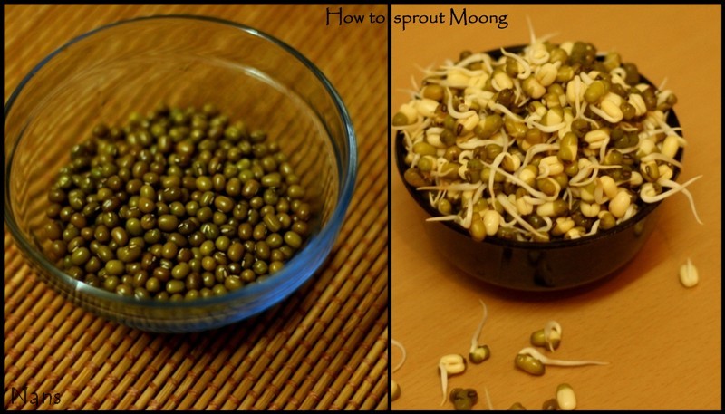 Nan's yum-yums!: How to Sprout Moong?