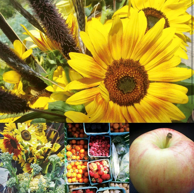 Karen's Journal and Blog