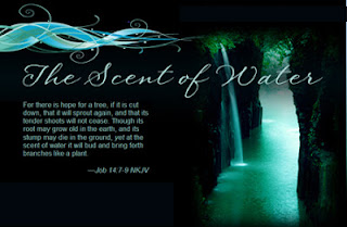 THE SCENT OF WATER: What SCENT OF WATER signify