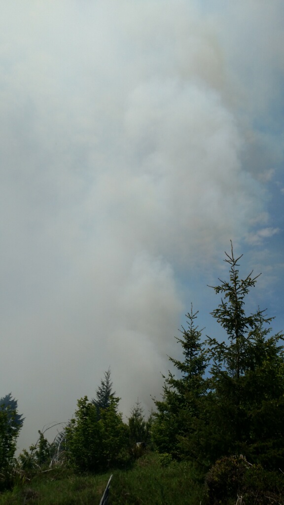 Forest Grove District : Wanless White Fire - 5/13/16