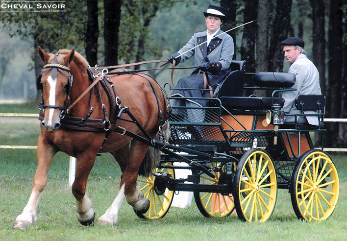 Trekezek - Le Cheval Breton: Le Breton, cheval de loisir