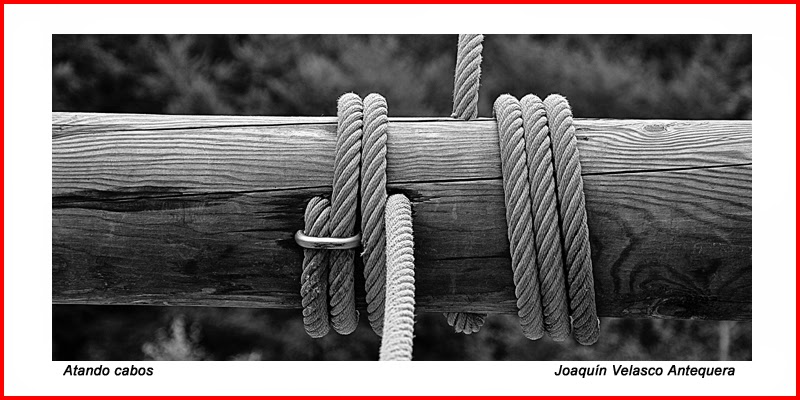 Fotos que olvidé romper: Atando cabos