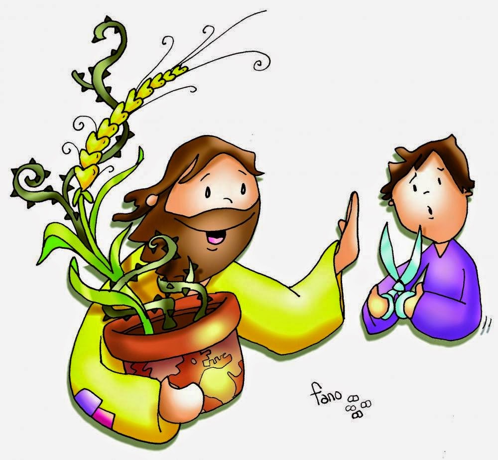 JESUS PASA X AQUI: PARABOLA EL TRIGO Y LA CIZAÑA