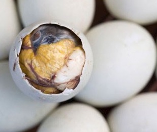 Hari Ng Larga: Top Filipino Foods That Every Foreigners Should Try