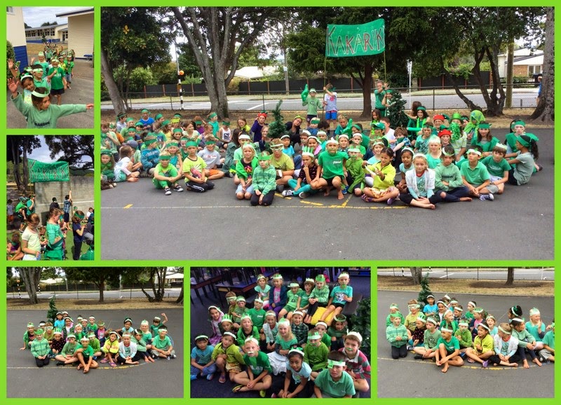 Room 2 Waikanae School: Kakariki