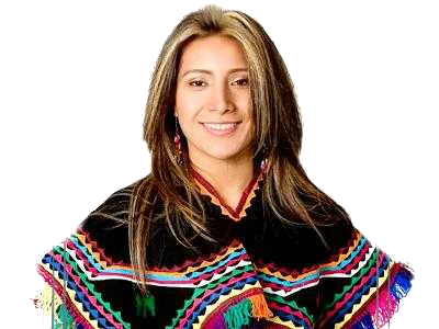 Música andina: Damaris