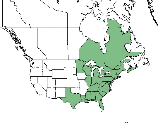 EagleSpeak: Disaster Prep Wednesday: Things to Avoid in the Wild ...