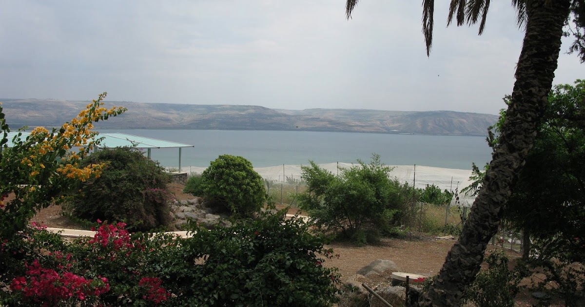 The Sacred Page: Kingdom of the Humble Poor: 4th Sunday in OT