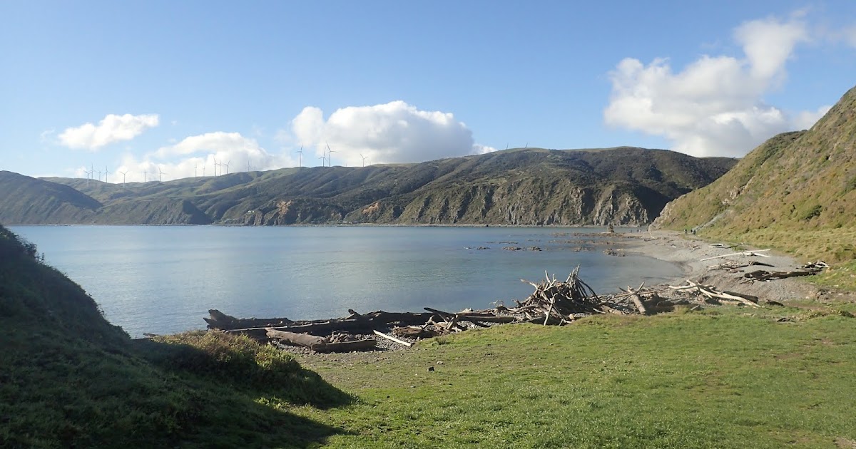 Carol and Mischa in New Zealand: Makara Beach walk