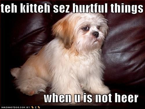 Rules of the Jungle: Funny dogs with words