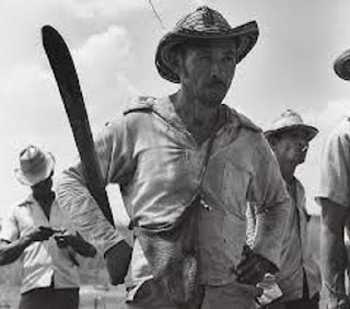 LOS MACHETEROS DEL PATIO DE LAS BRUJAS