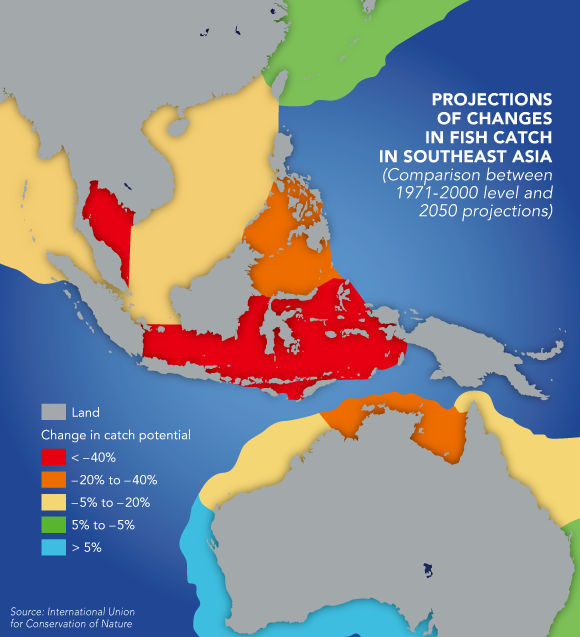 Thai E-News : สงครามชิงปลาในมหาสมุทรแปซิฟิก - Emptying seas, mounting ...
