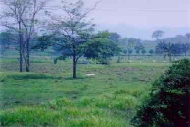 FUNDAMENTOS DE LA INGENIERÍA AMBIENTAL: BIOSFERA DE TABASCO